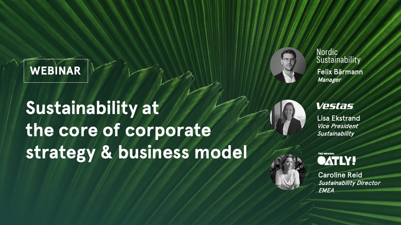 Sustainability at the core of corporate strategy and business model ...